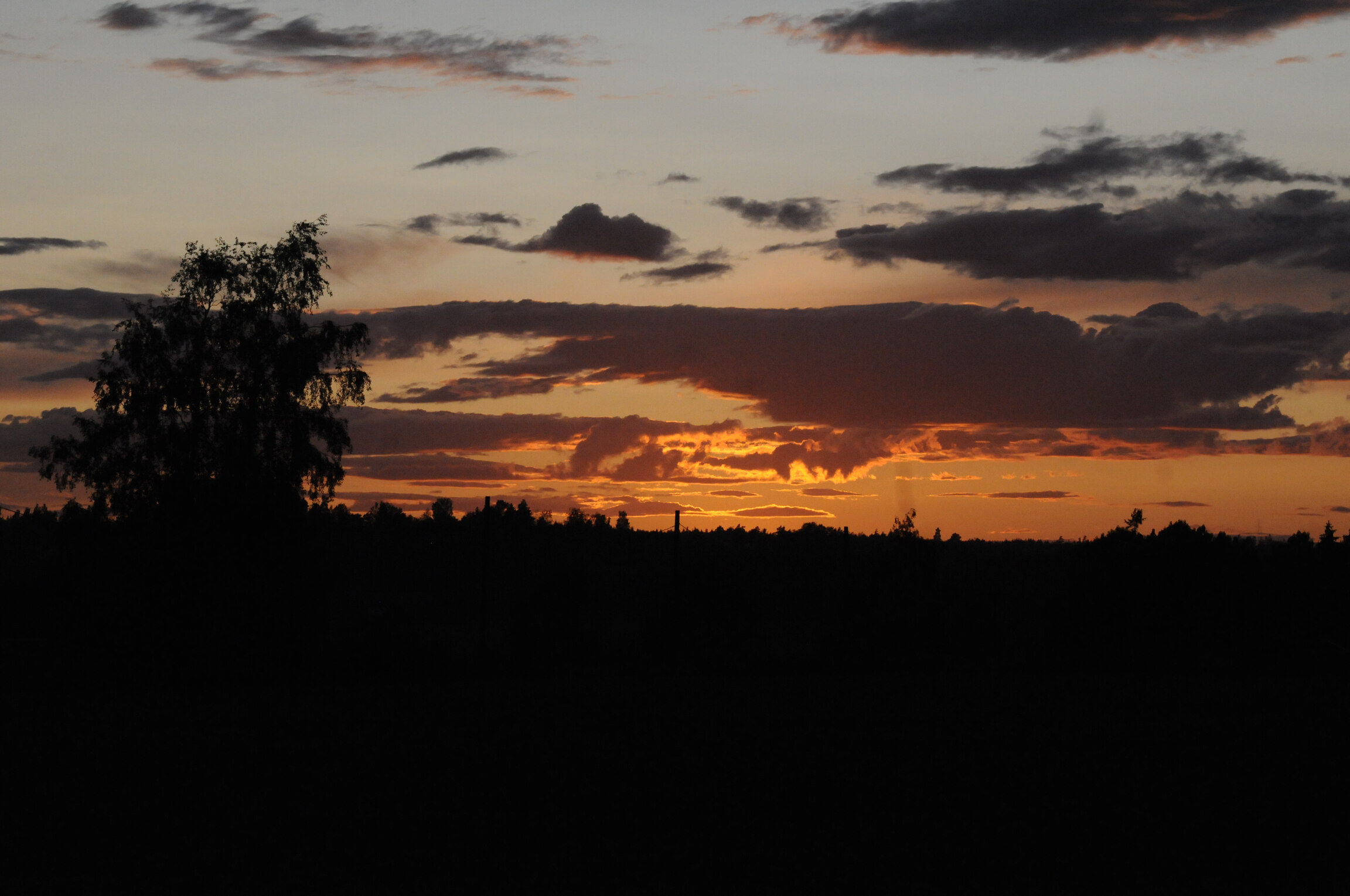 Sunset – Solskogen